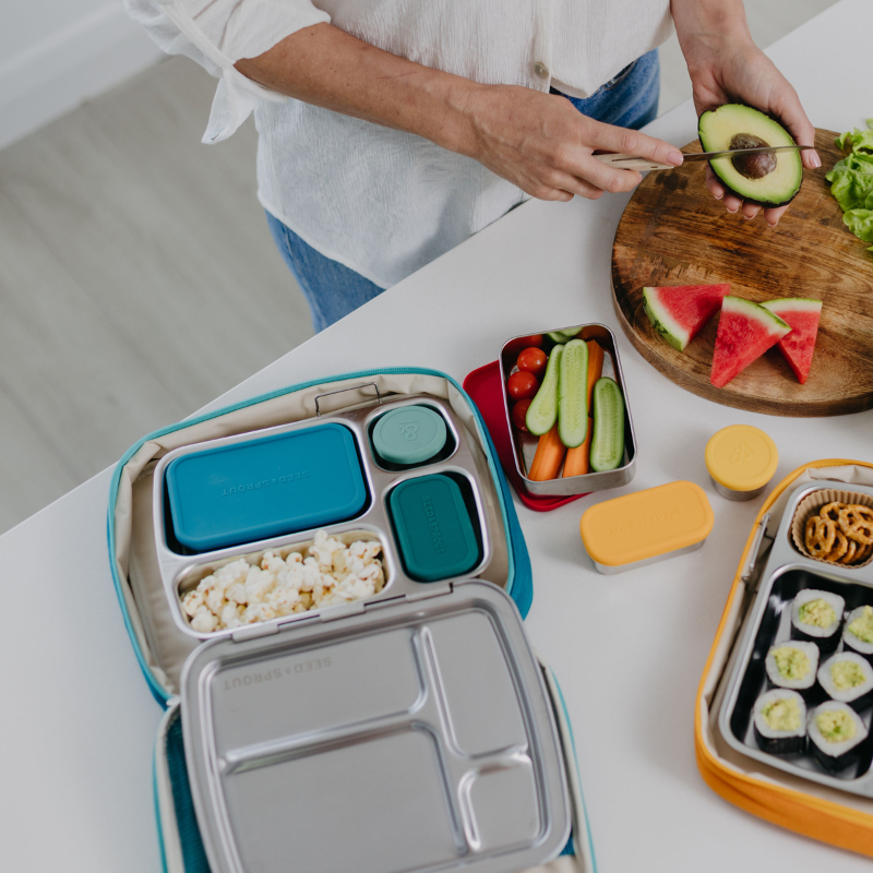 Bento Lunch Boxes | Bento Box For Kids & Adults – Seed & Sprout Co