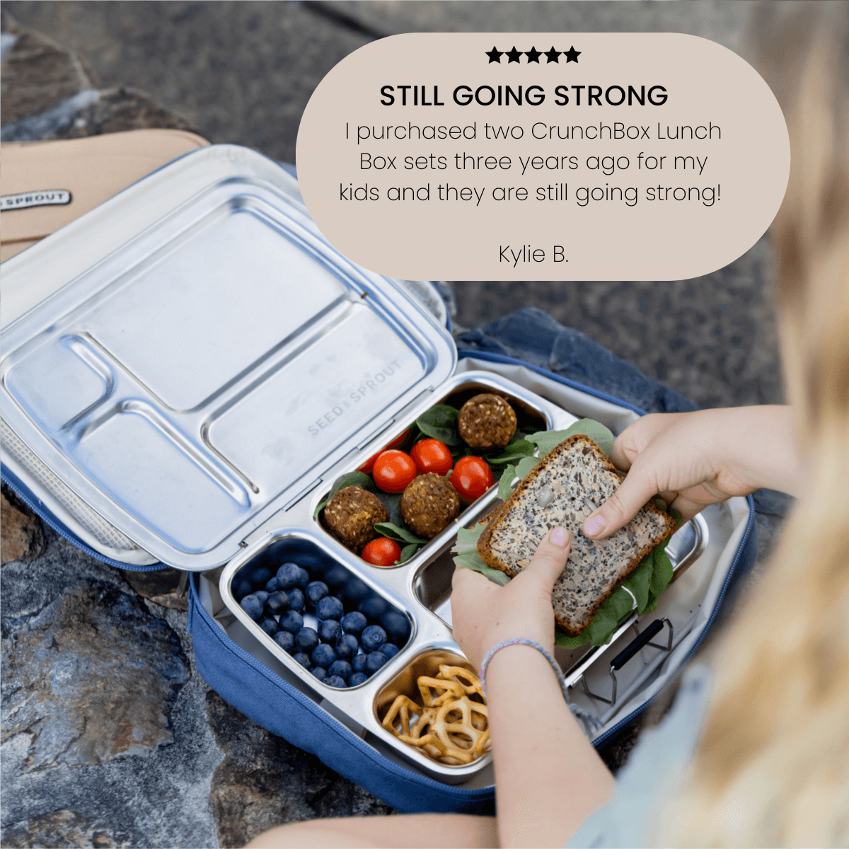 Ultimate Lunch and Snack Set | Seed and Sprout Lunch Box